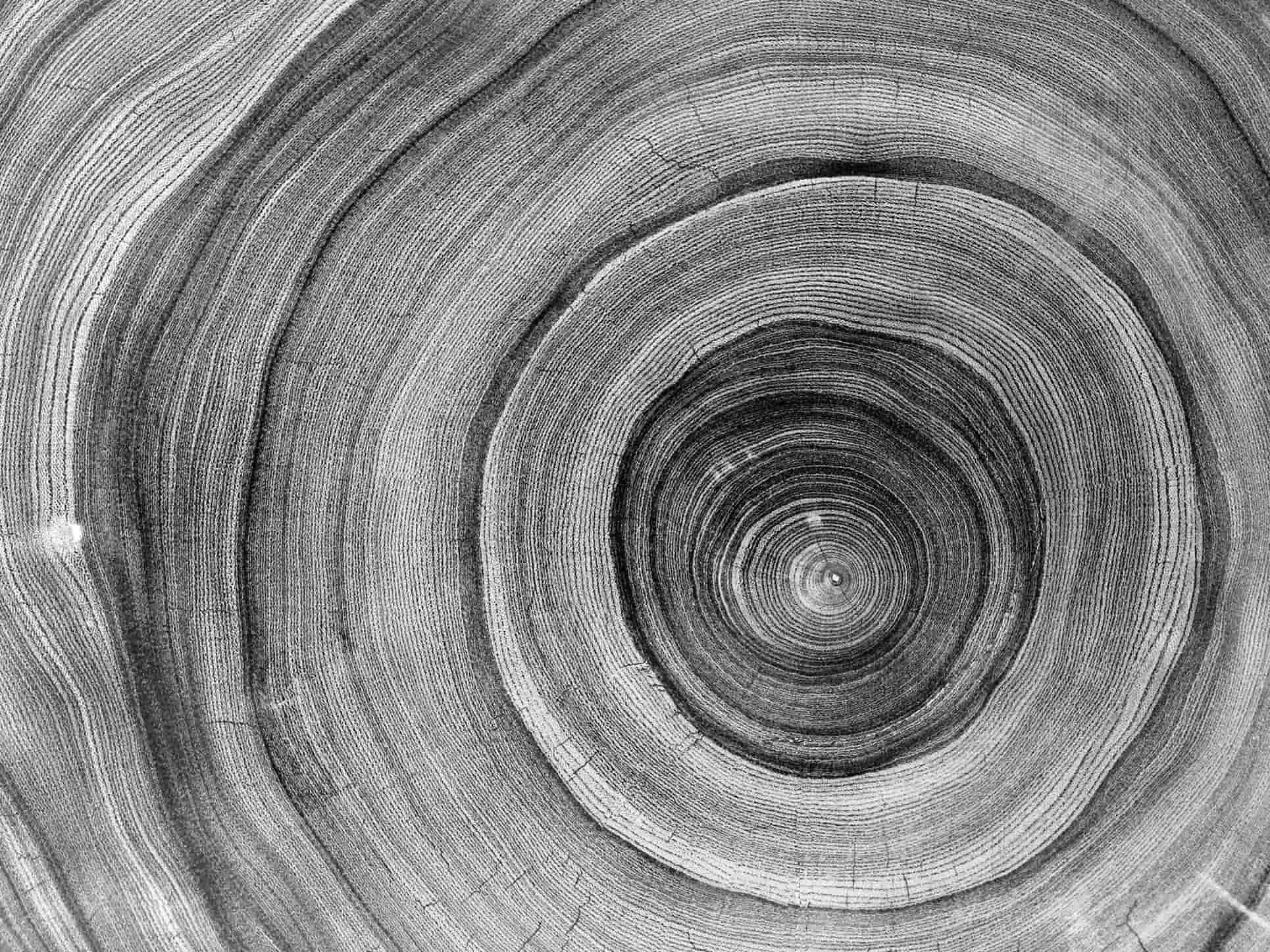 Tout savoir sur le taux AT des fonctions supports (FSNA)